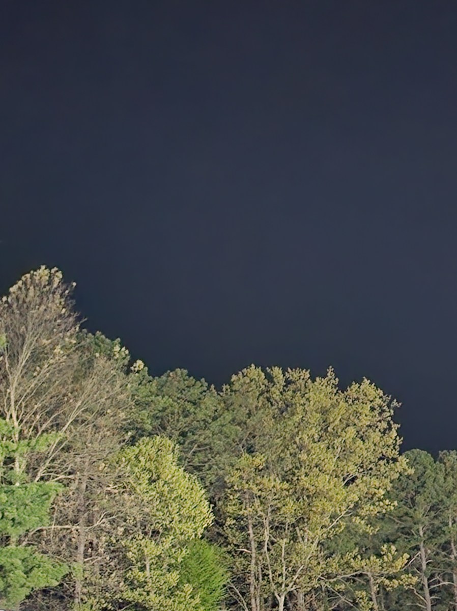 In Deepest Night – The Beginning At Last