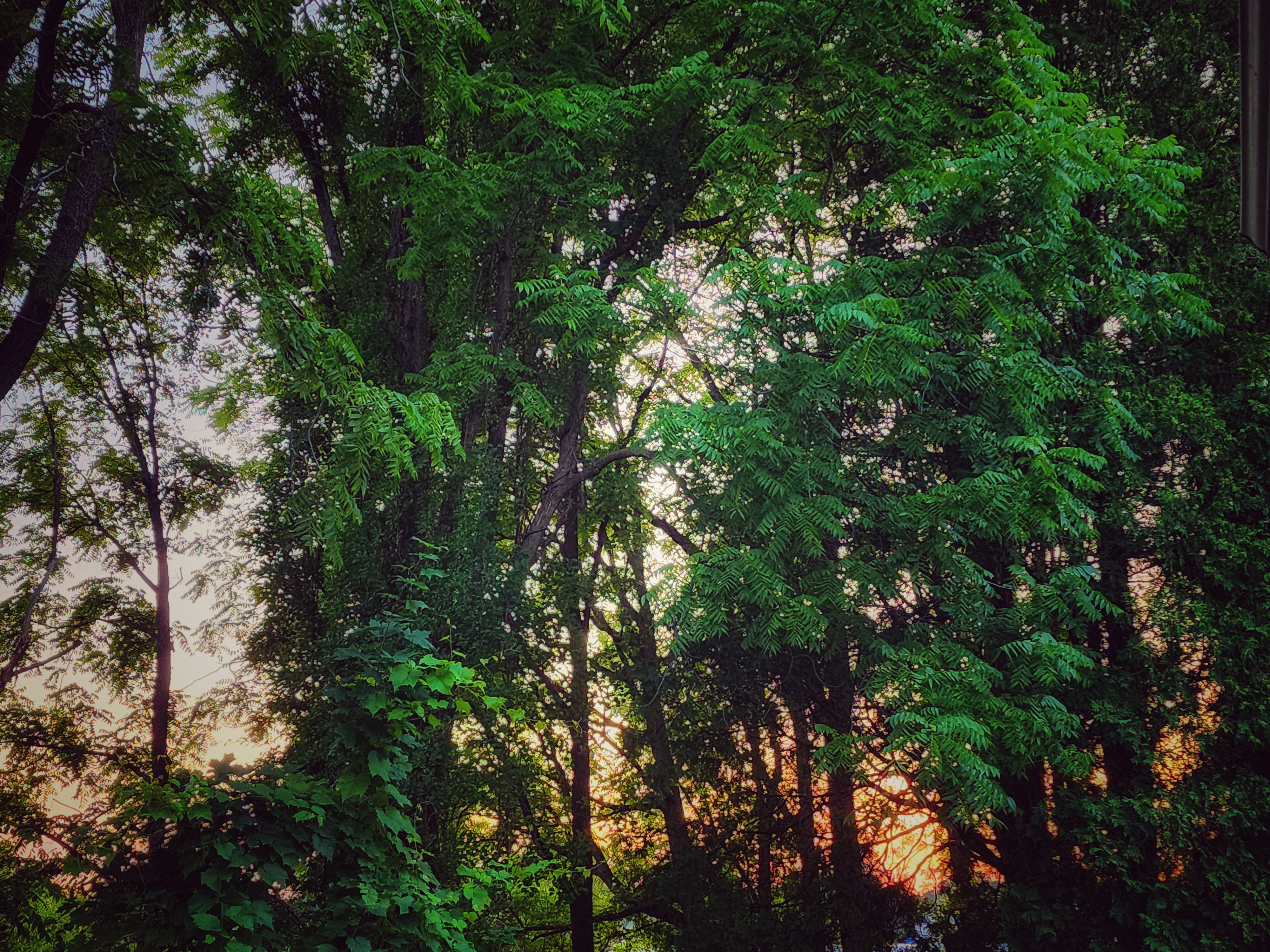 July In Pictures – The Beginning At Last